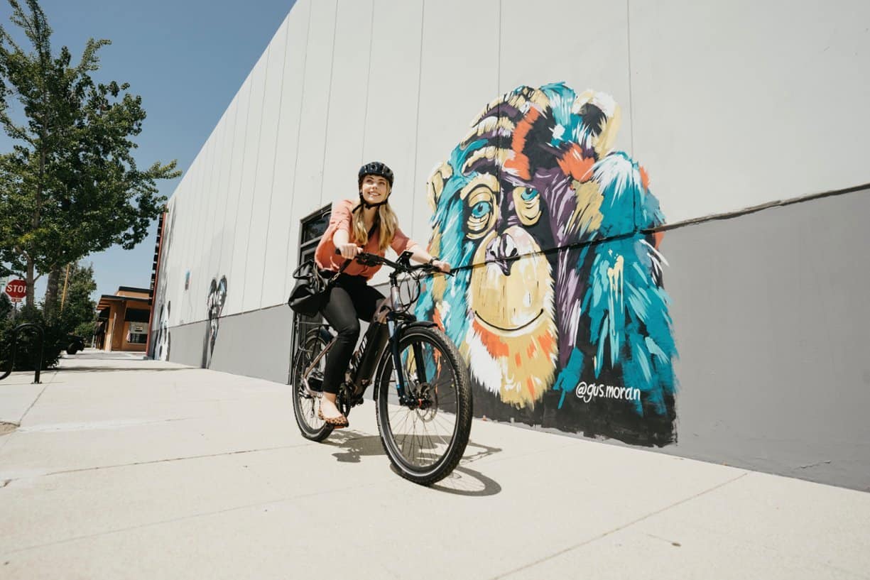 Gift Guide for EV-Loving Moms: Green & Electric for Mother's Day