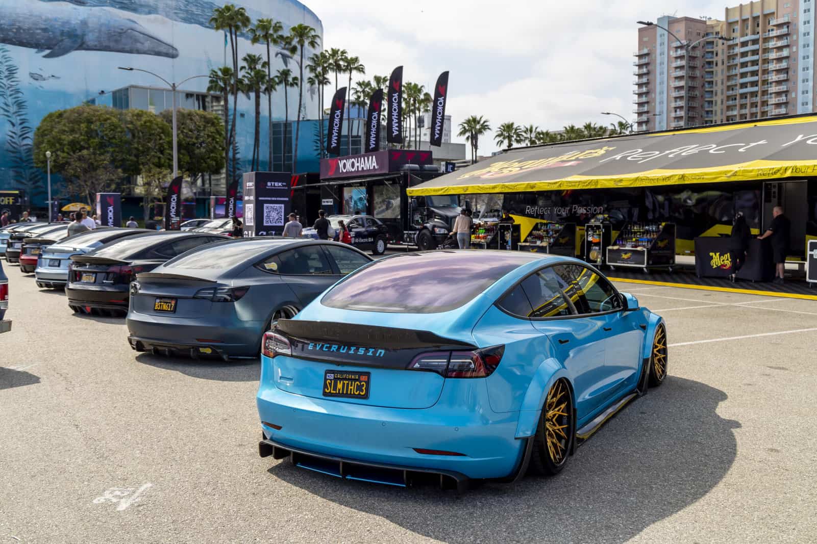 From Prototype to Powerhouse: Ravi's 2017 Tesla Model 3 Build