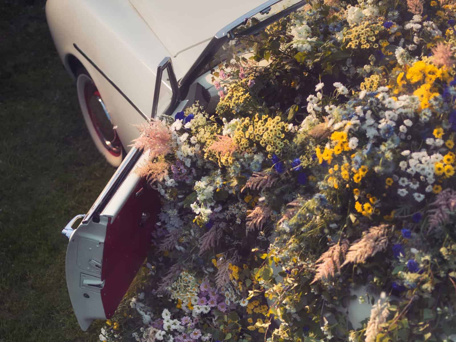 Volvo Midsummer: Community, Flora, Greener Future