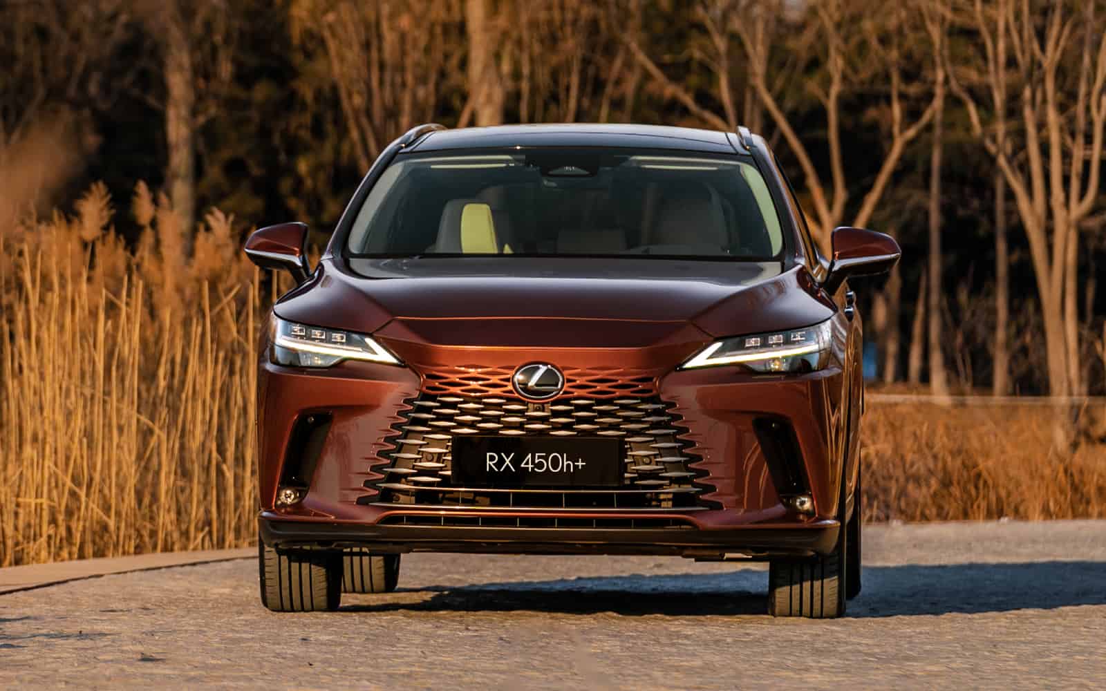 2024 Lexus RX 450h+ - The Athletically Luxurious Mid-Size Crossover ...