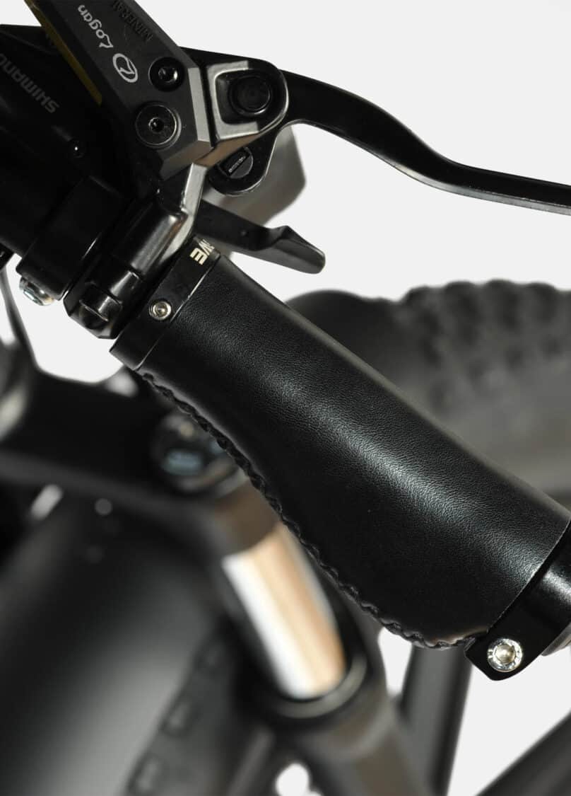 ENGWE Engine Pro 750W E-Bike - Conquering Mountains and Budgets