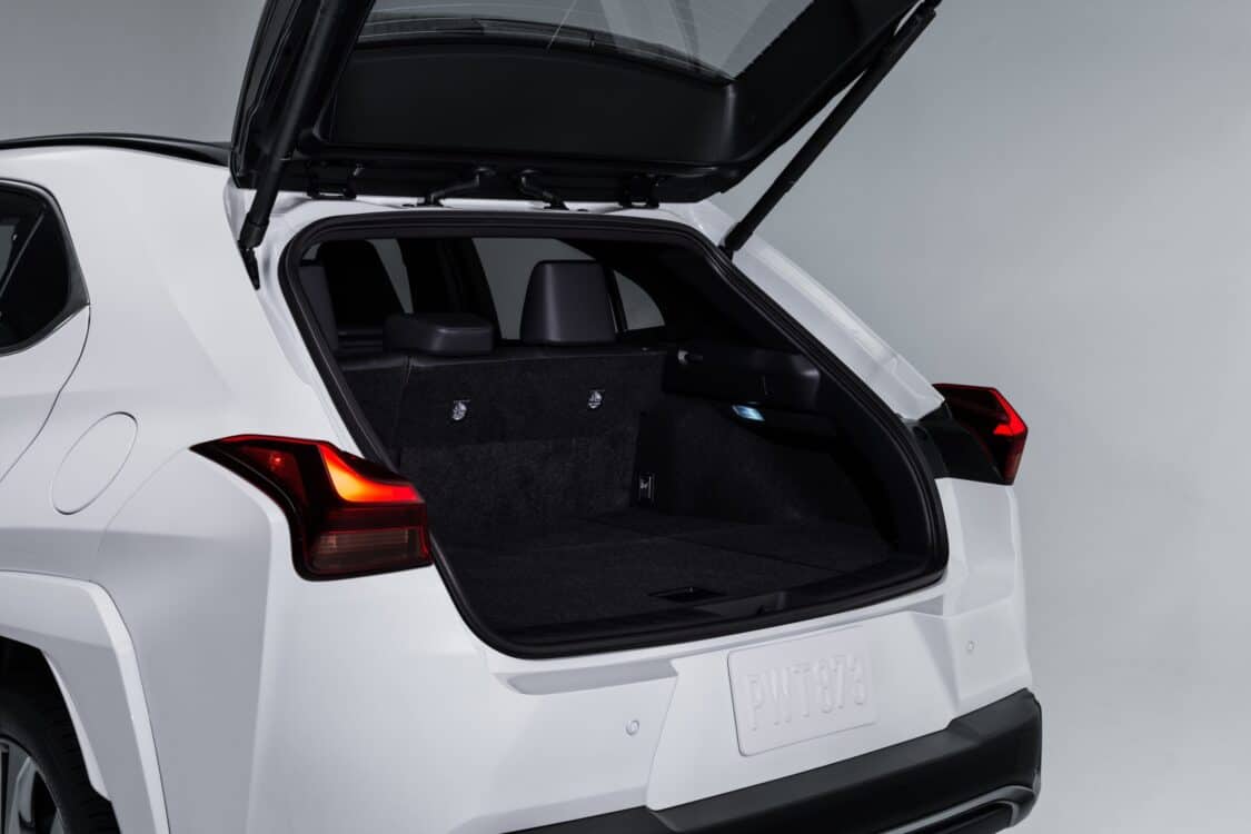 2025 Lexus UX 300h: Sporty and Luxurious Compact Crossover with a New ...