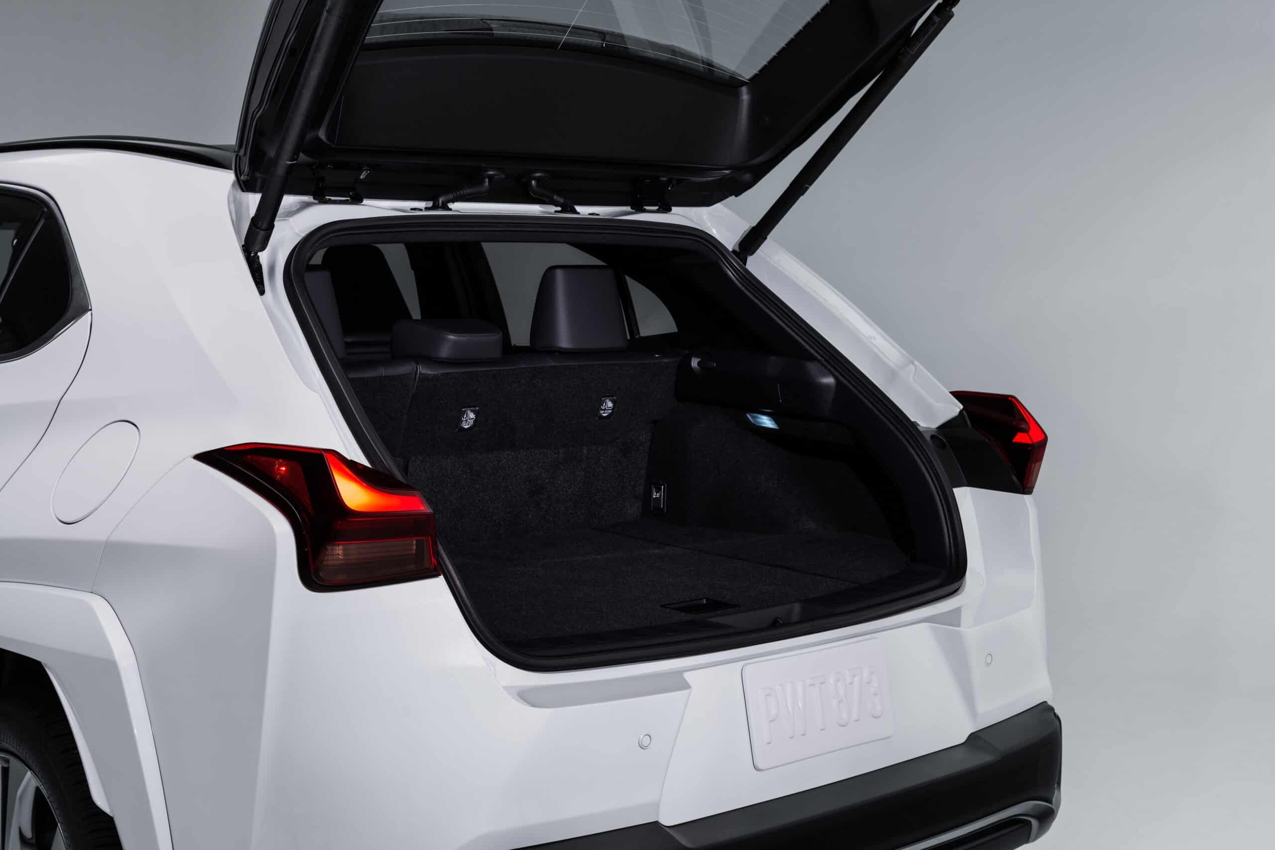 2025 Lexus UX 300h: Sporty and Luxurious Compact Crossover with a New ...