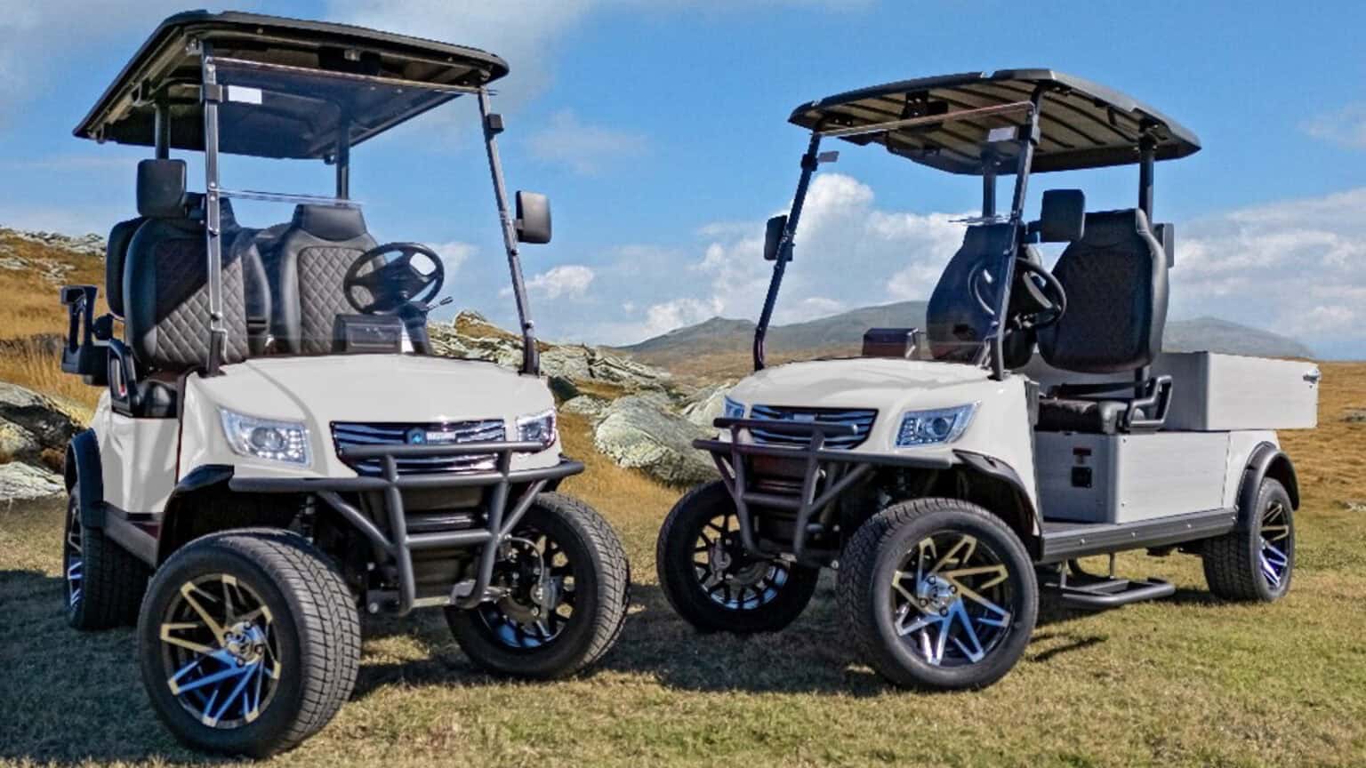 Think Gas Carts Are Better? Meet the Massimo MVR Series Electric Carts ...